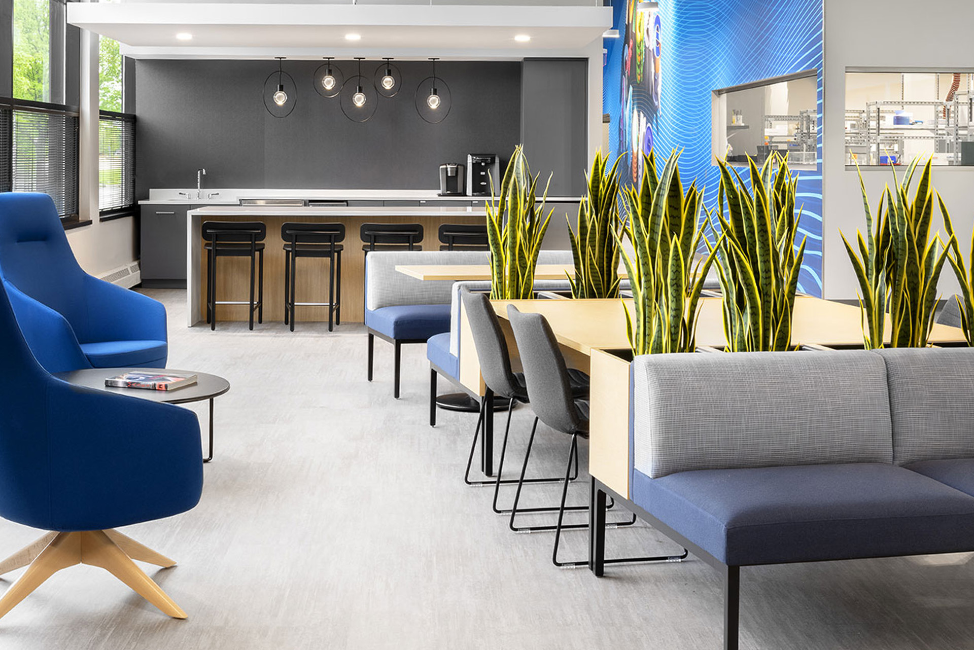 Novus International - Gray Design Group